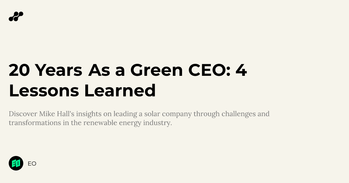 20 Years As a Green CEO: 4 Lessons Learned | Verved